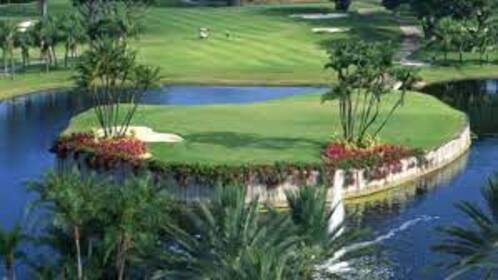 Eco Golf Club - Hollywood TAP (Trends and Places)