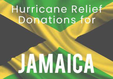 Jamaica Hurricane Beryl Relief - Hollywood TAP (Trends and Places)