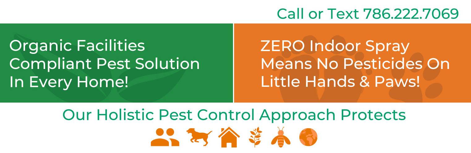 NaturePest Holistic Pest Control Now Serves The City Of Hollywood ...